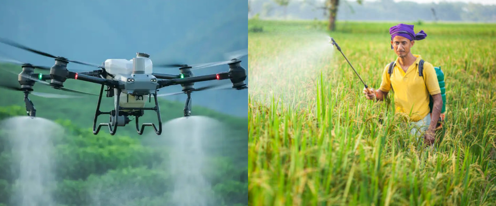 DJI Agras T50: Revolutionizing Agricultural Drone Spraying - HobiTech